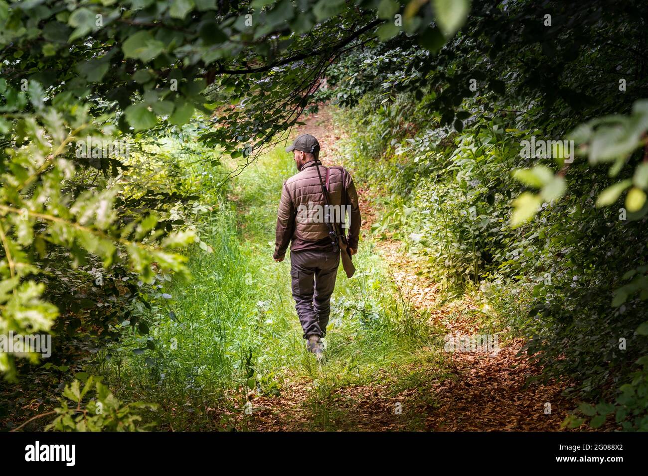 Hunter following a forest trail in search for deer Stock Photo - Alamy