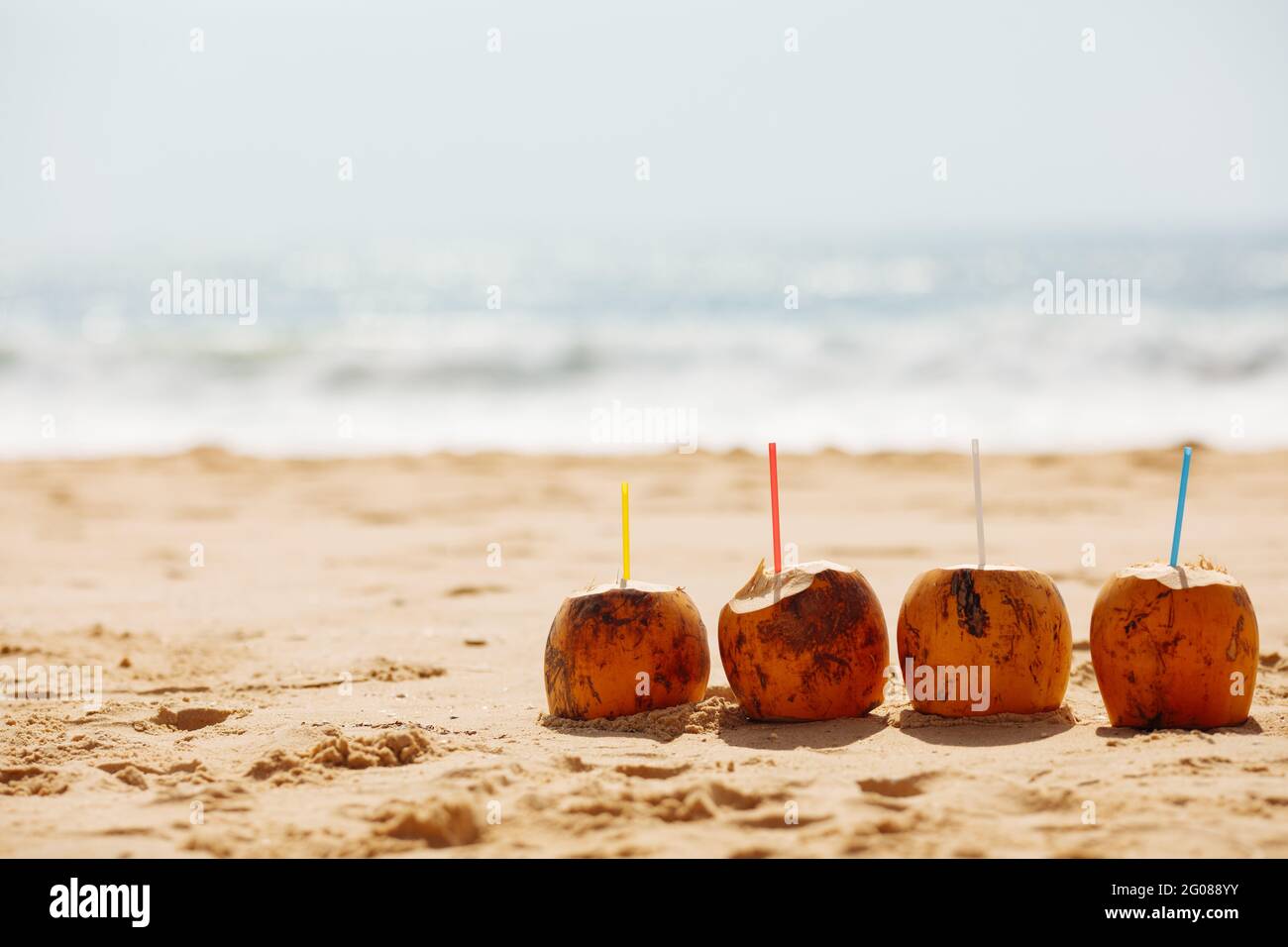 Front view of four coconuts with colorful straws on seashore Stock ...