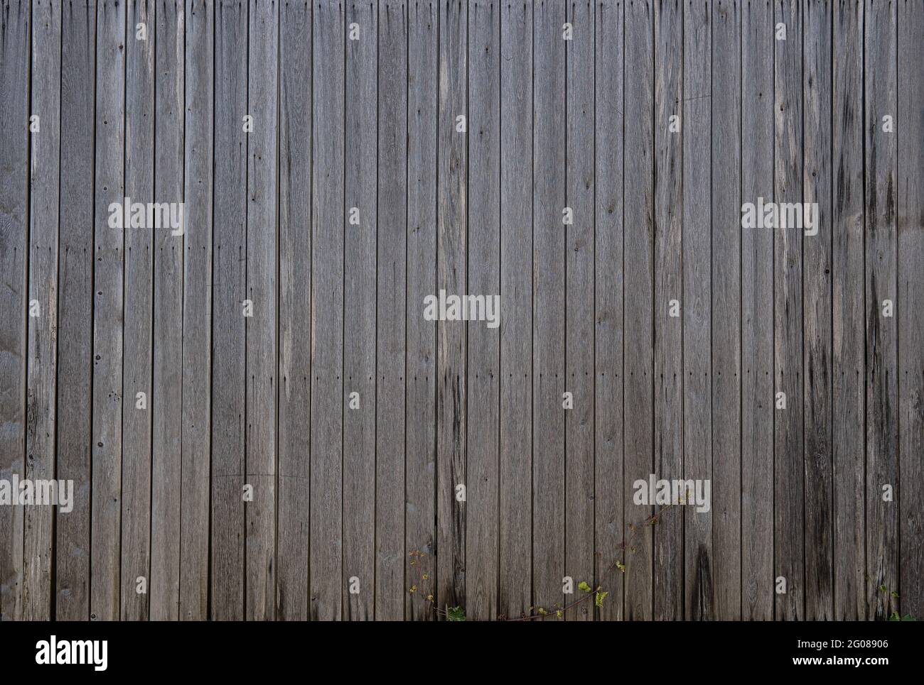 Light wooden background. Rough boards. Natural wood texture and pattern ...