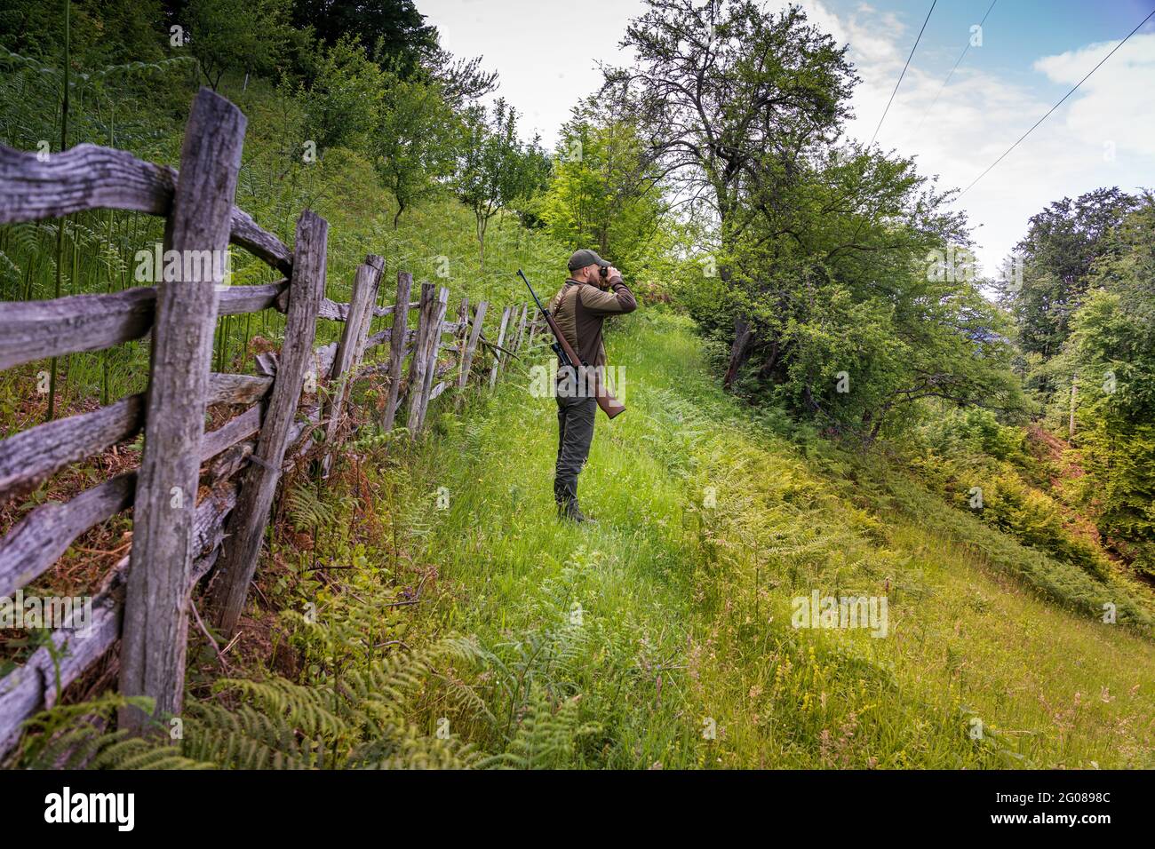 A hunter looking for wildlife in nature Stock Photo - Alamy