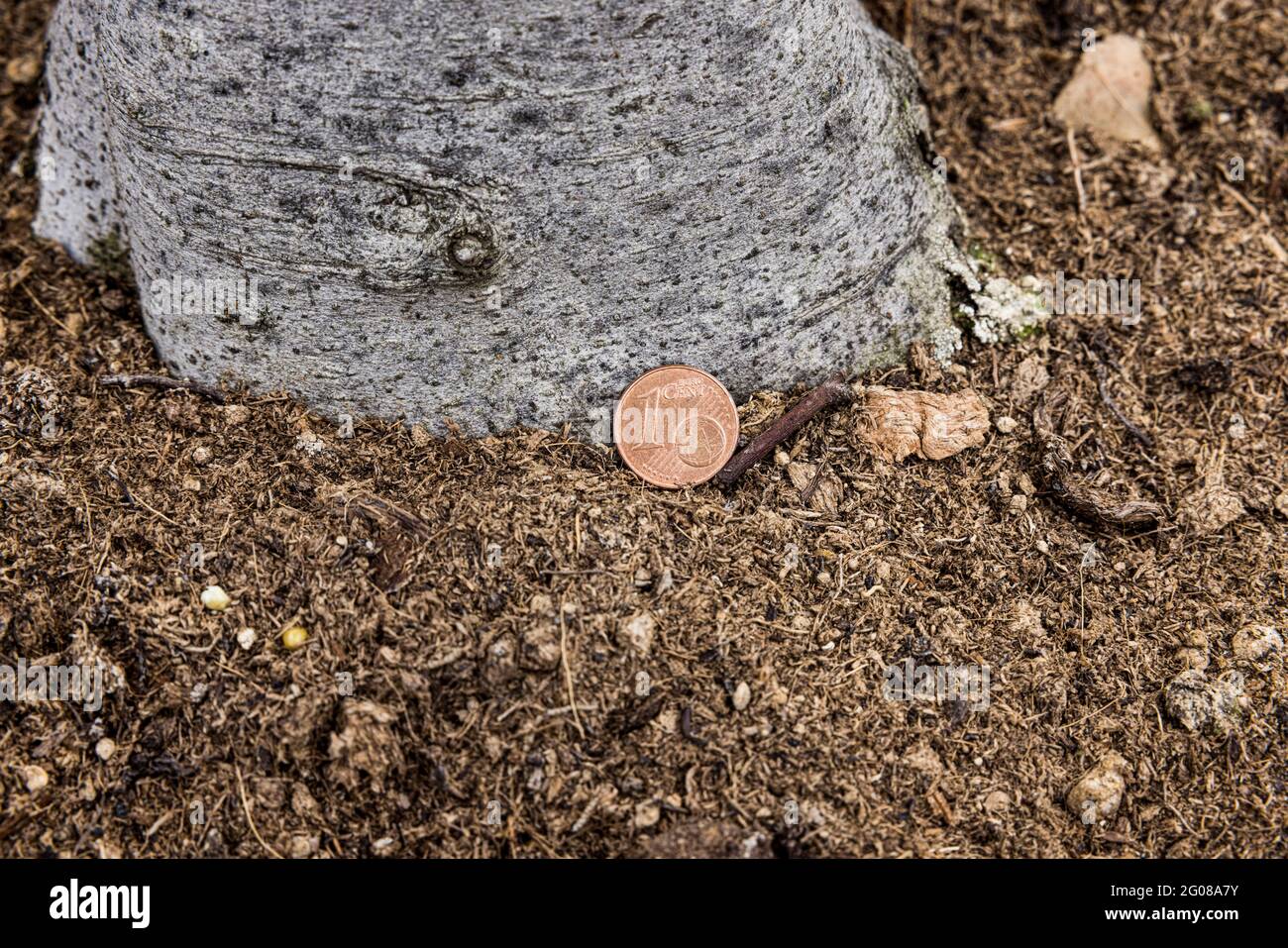 Coin on ground hi-res stock photography and images - Alamy