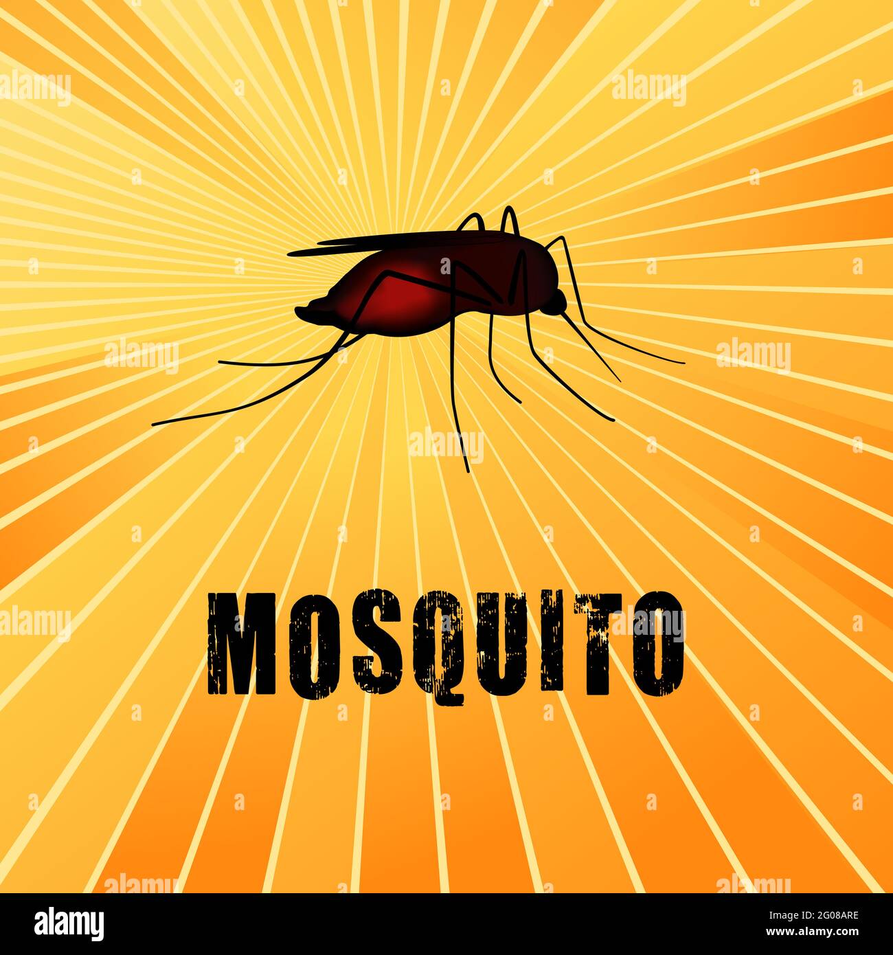 Dengue fever mosquitoes hi-res stock photography and images - Alamy