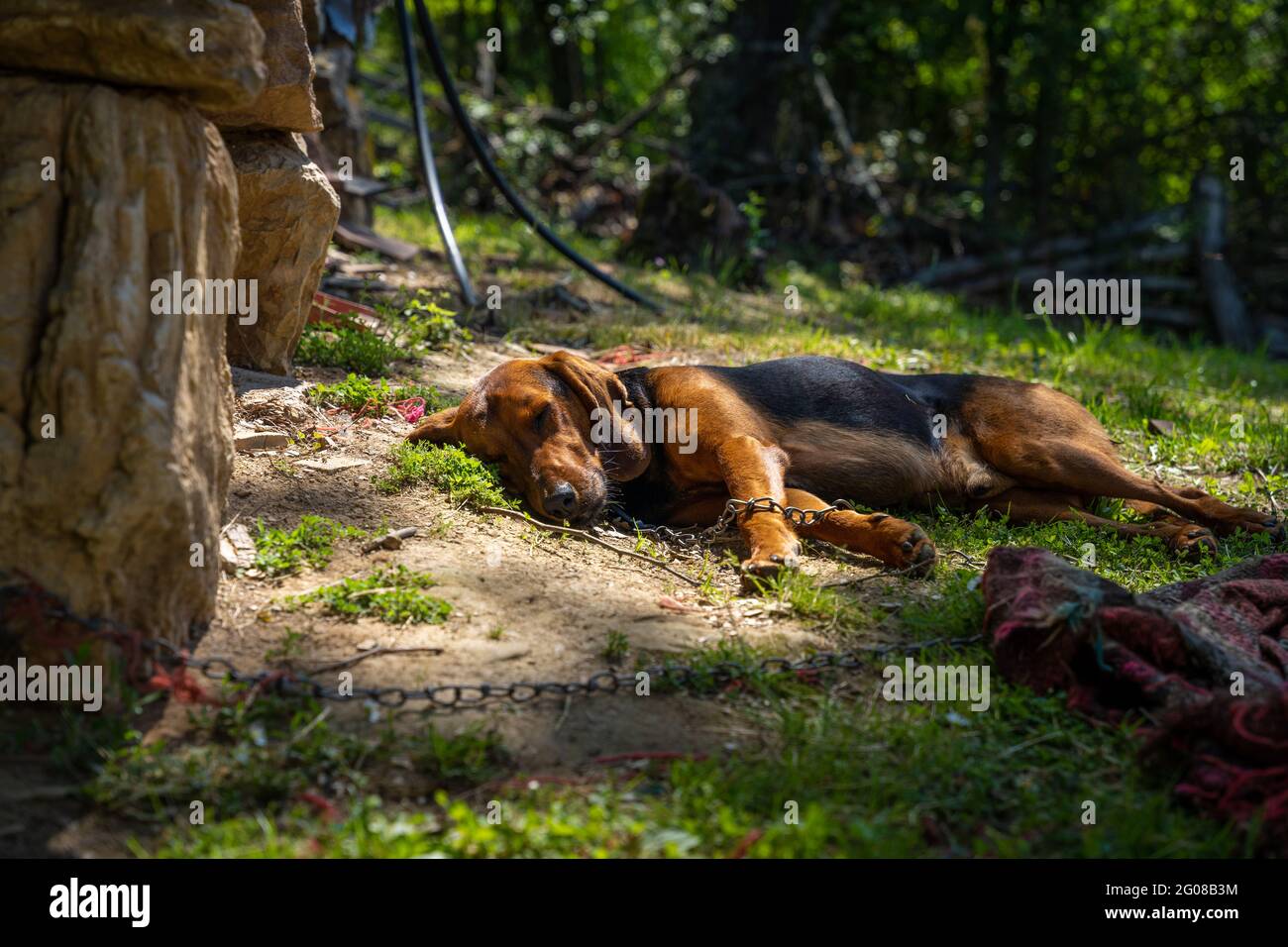 Nap in the sun hi-res stock photography and images - Alamy