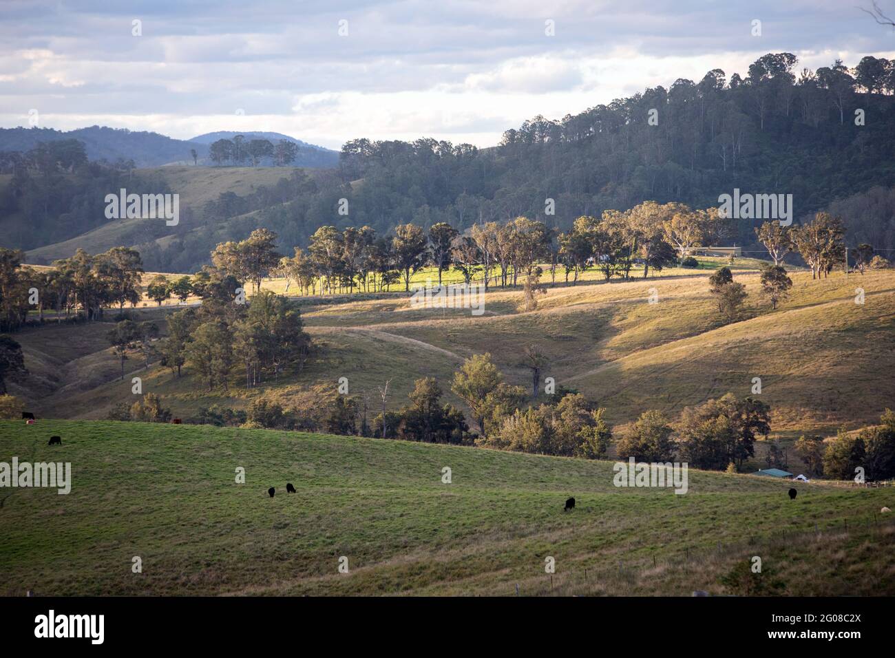Gloucester tops hi-res stock photography and images - Alamy