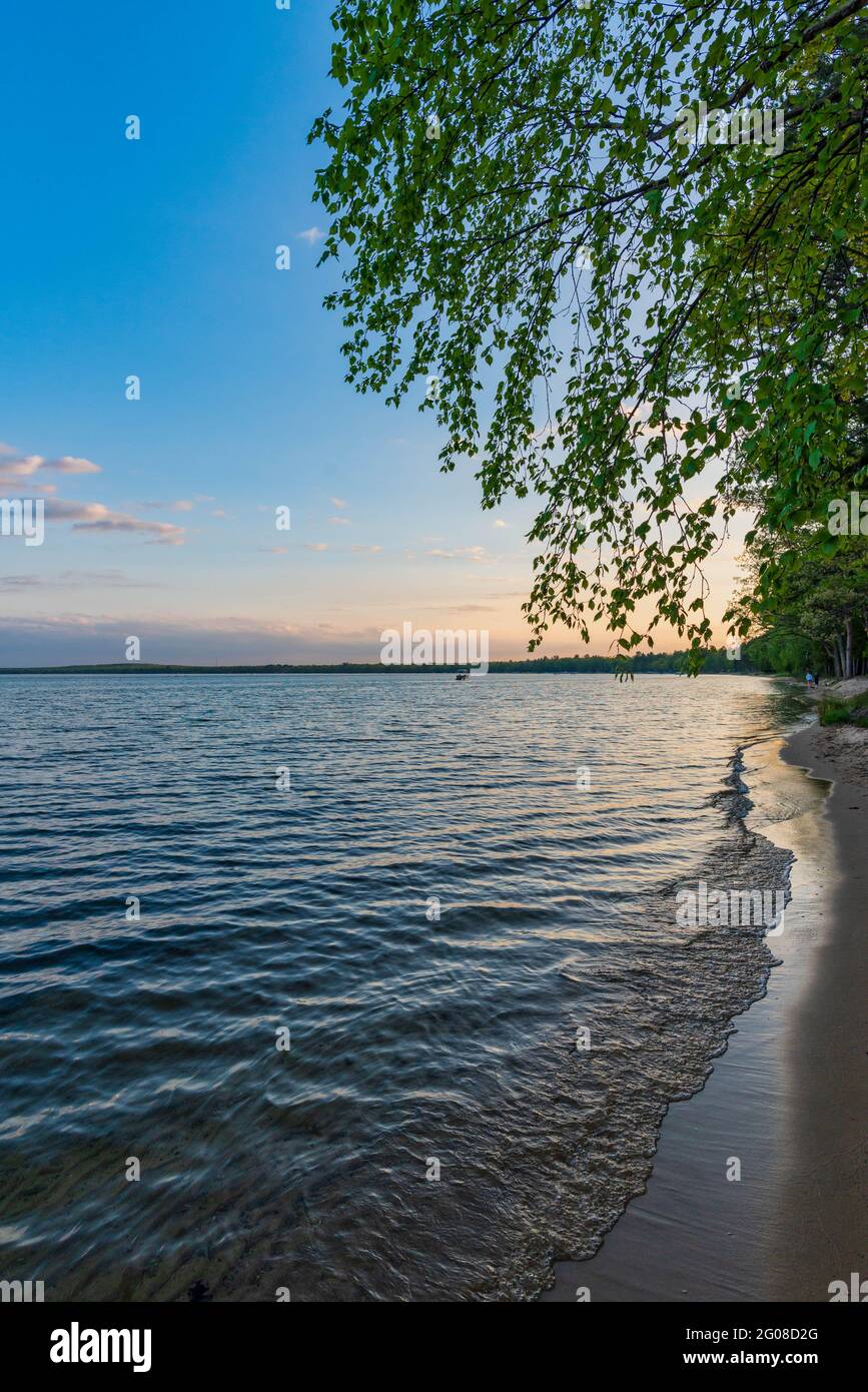 Beautiful lakeshore of Higgins Lake State Park in northern Michigan ...