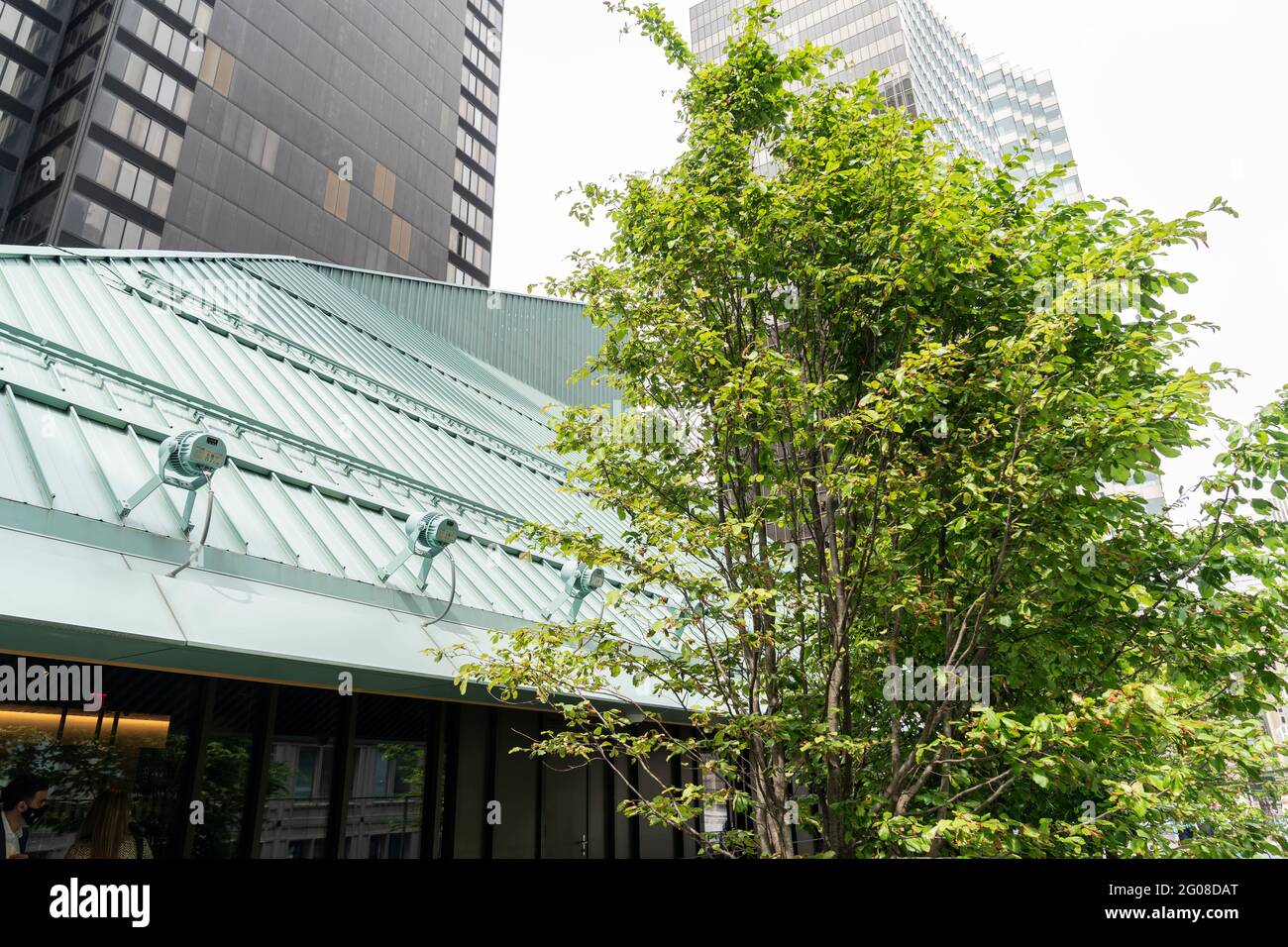 New York, NY - June 1, 2021: View of rooftop of newly redesigned ...