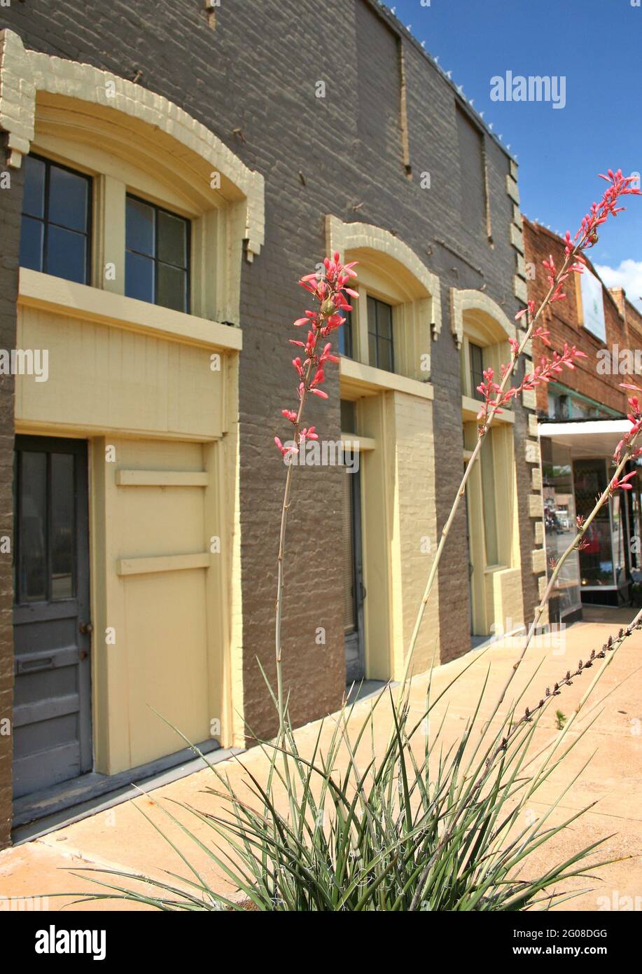 Buildings in Small Town with flowers Stock Photo - Alamy