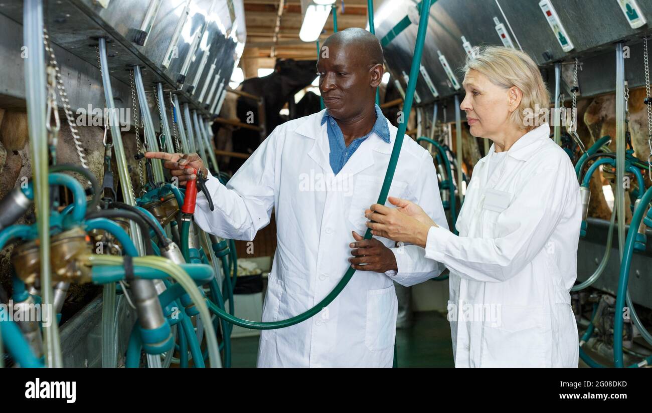 Female senior male workers hi-res stock photography and images - Alamy