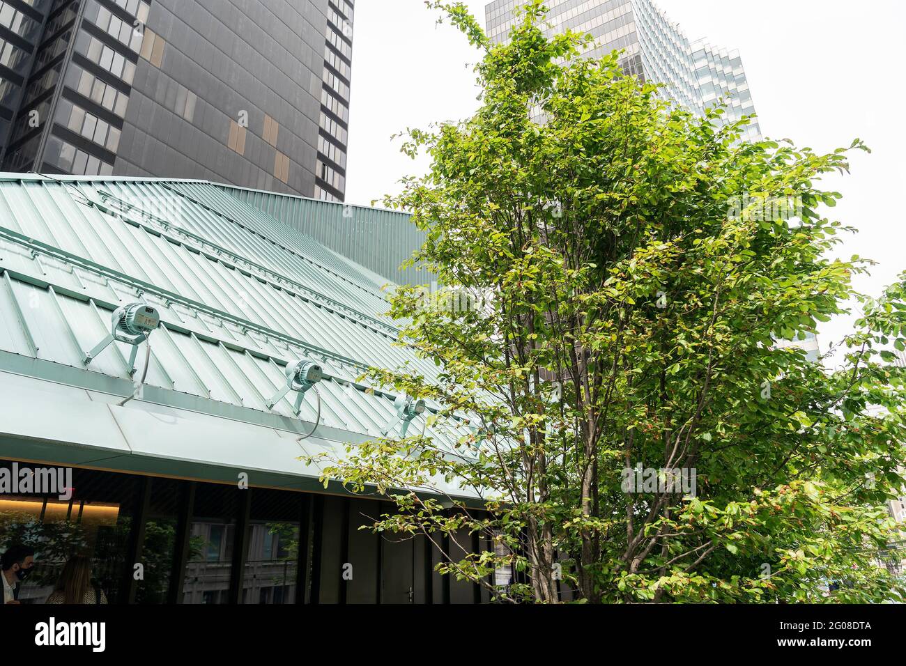 View of rooftop of newly redesigned Stavros Niarchos Foundation Library ...