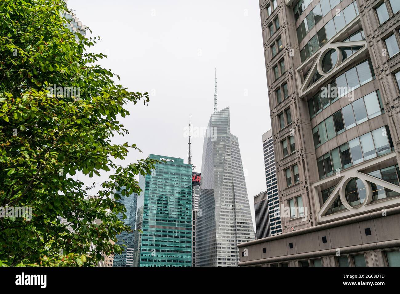 View of midtown skyline from the rooftop of newly redesigned Stavros ...