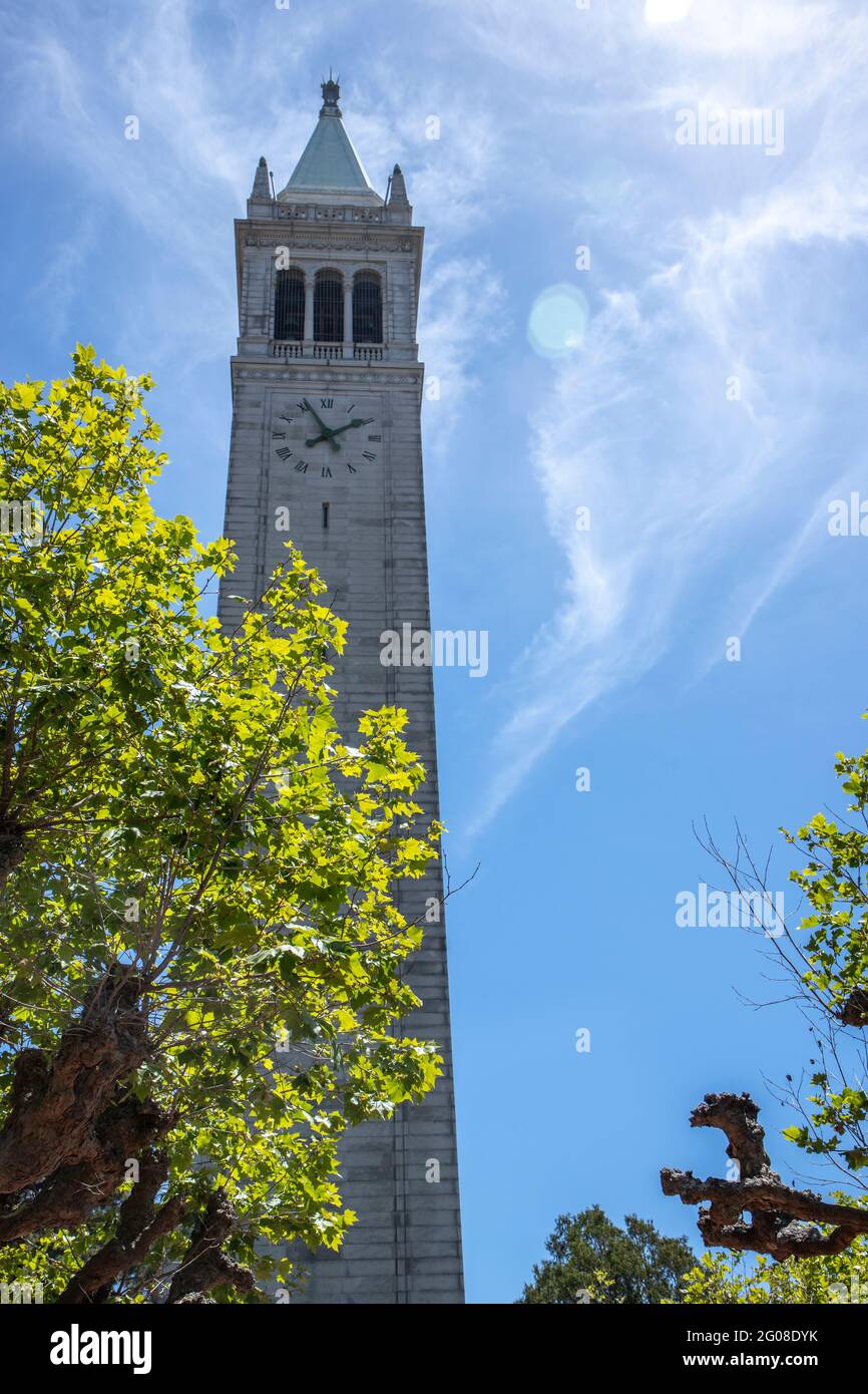 The Campinile clock tower is a landmark of Berkeley, and sits on the ...