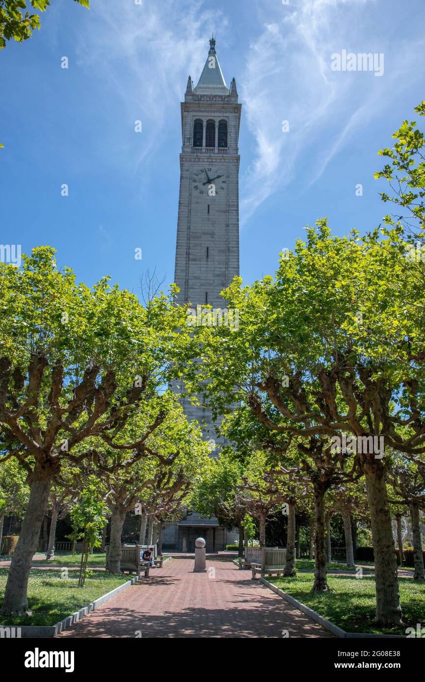 The Campinile clock tower is a landmark of Berkeley, and sits on the ...