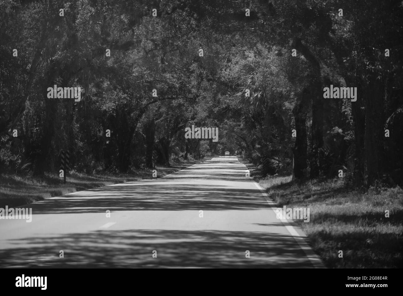 Florida scenery hi-res stock photography and images - Alamy