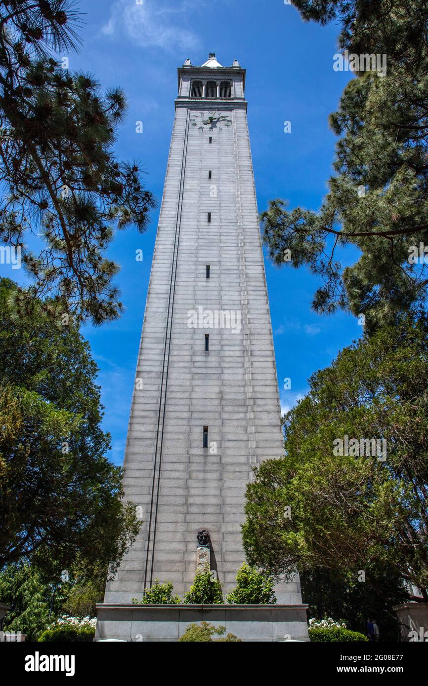 The Campinile clock tower is a landmark of Berkeley, and sits on the ...