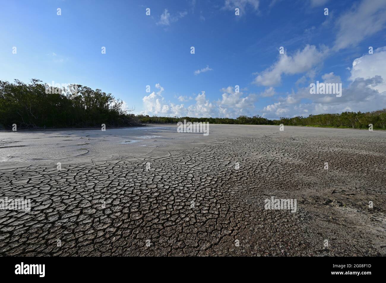 Dry exposed bed of Eco Pond under severe drought conditions in ...