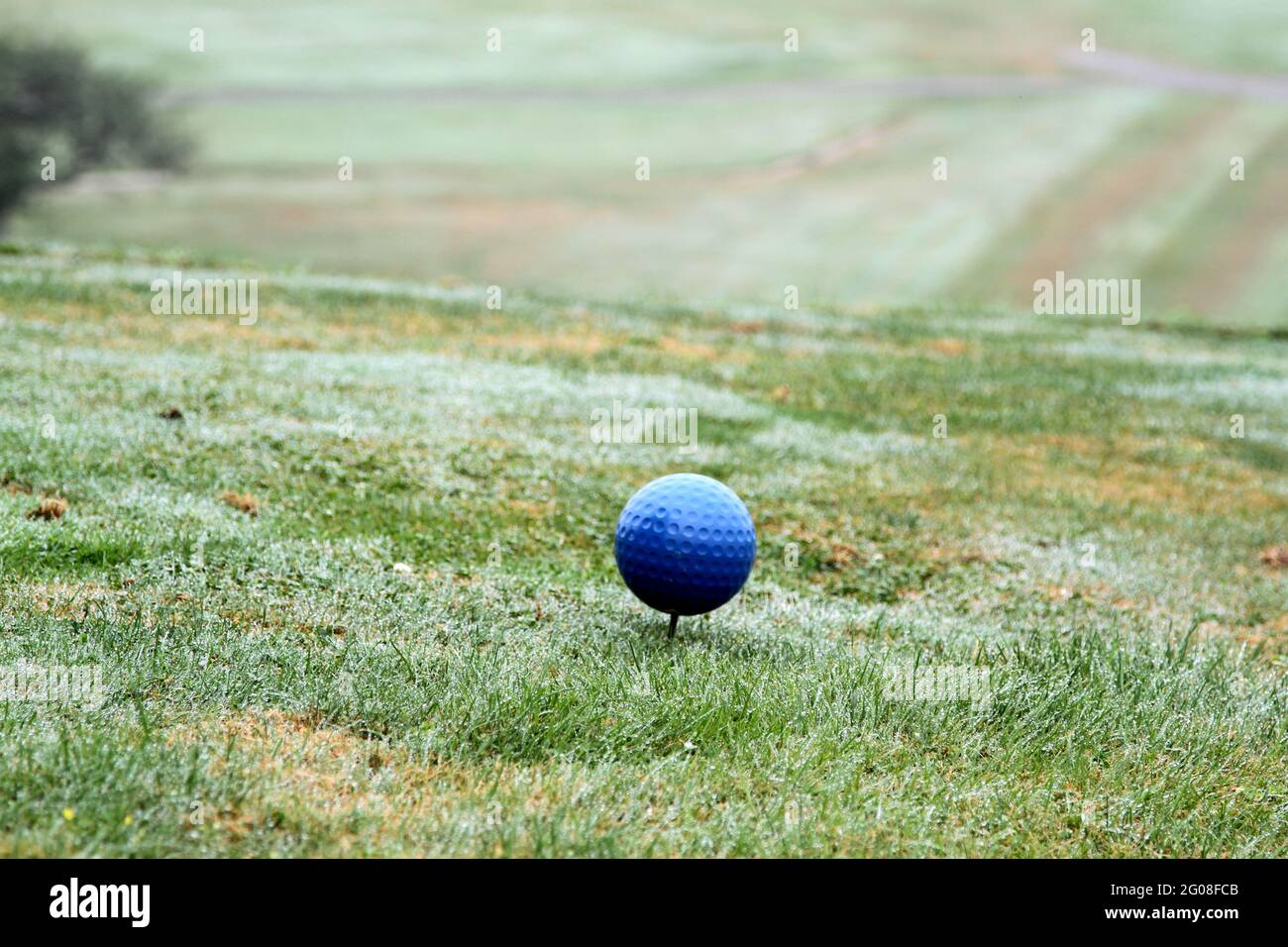 Peg ball hi-res stock photography and images - Alamy