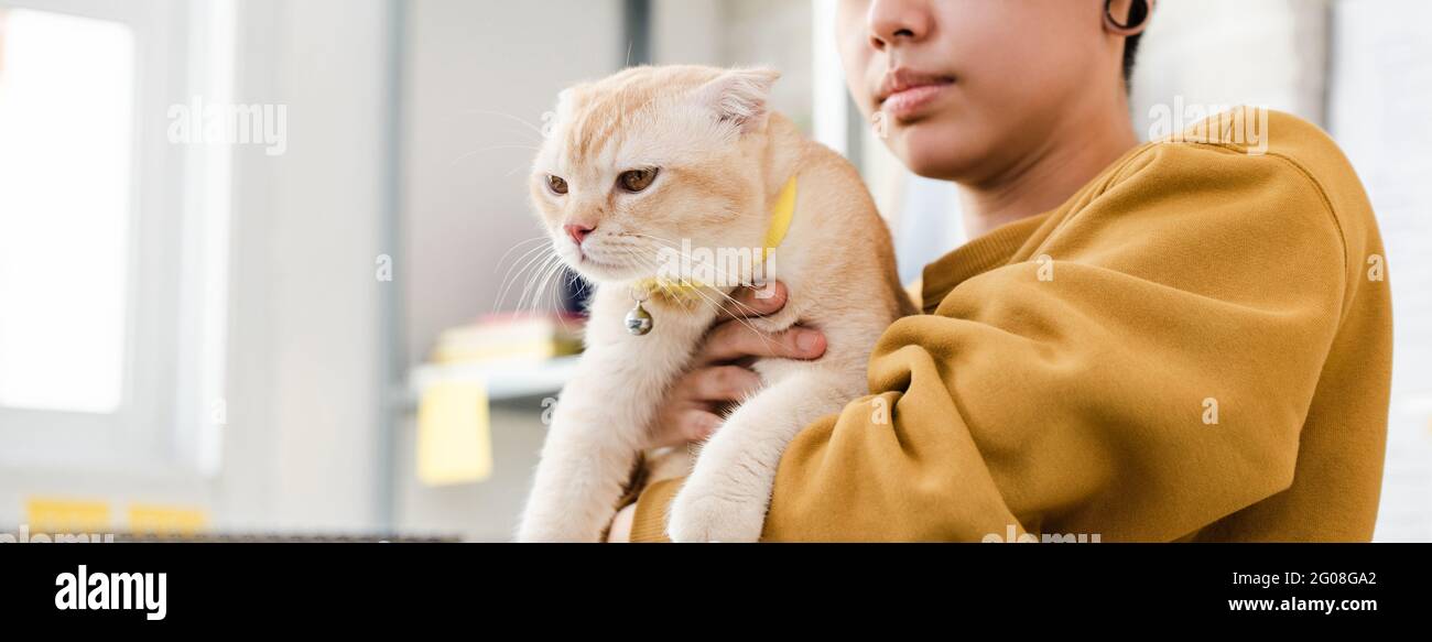 Young female owner holding lovely cat in her arms Stock Photo - Alamy
