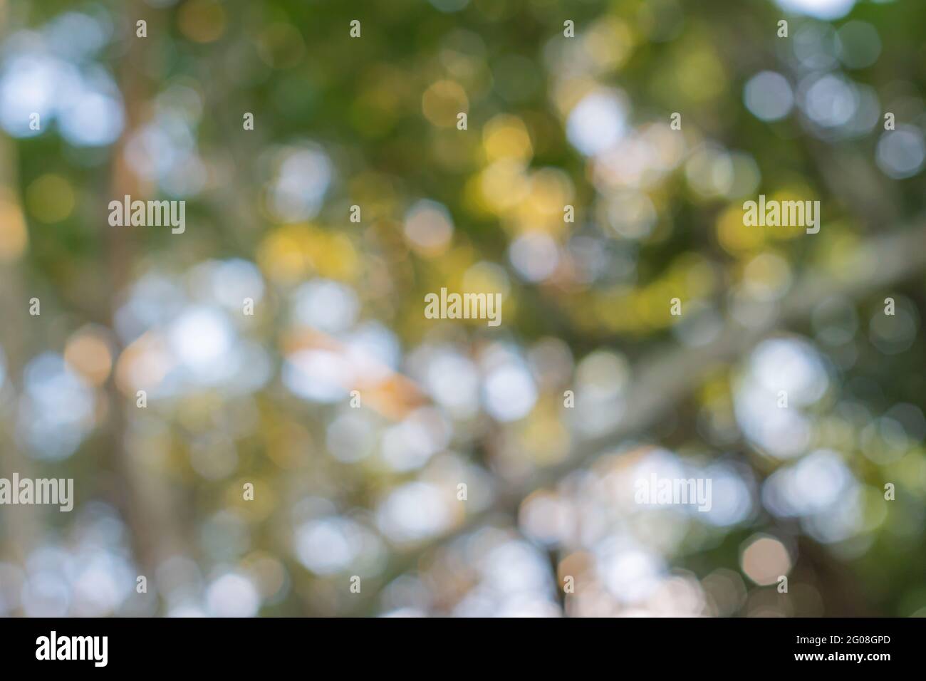 Bokeh green nature background, defocused bokeh background of garden ...