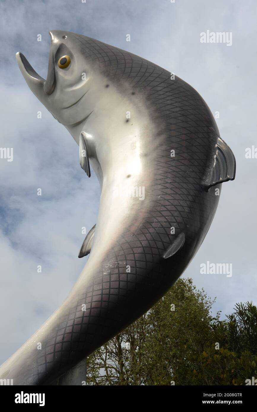 Braided rakaia river hi-res stock photography and images - Alamy