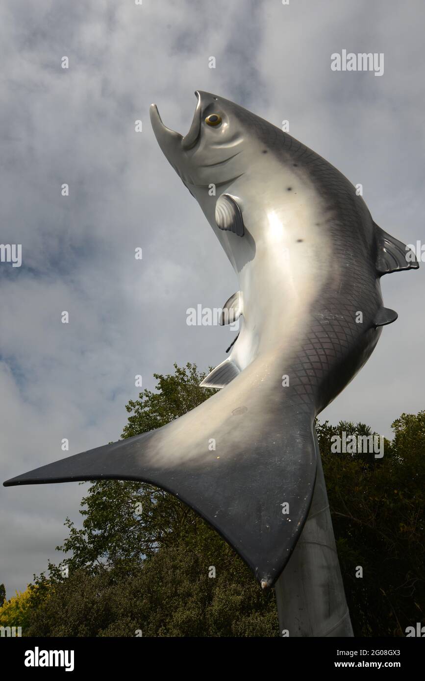 Braided rakaia river hi-res stock photography and images - Alamy