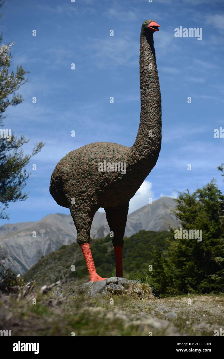Moa bird hi-res stock photography and images - Alamy