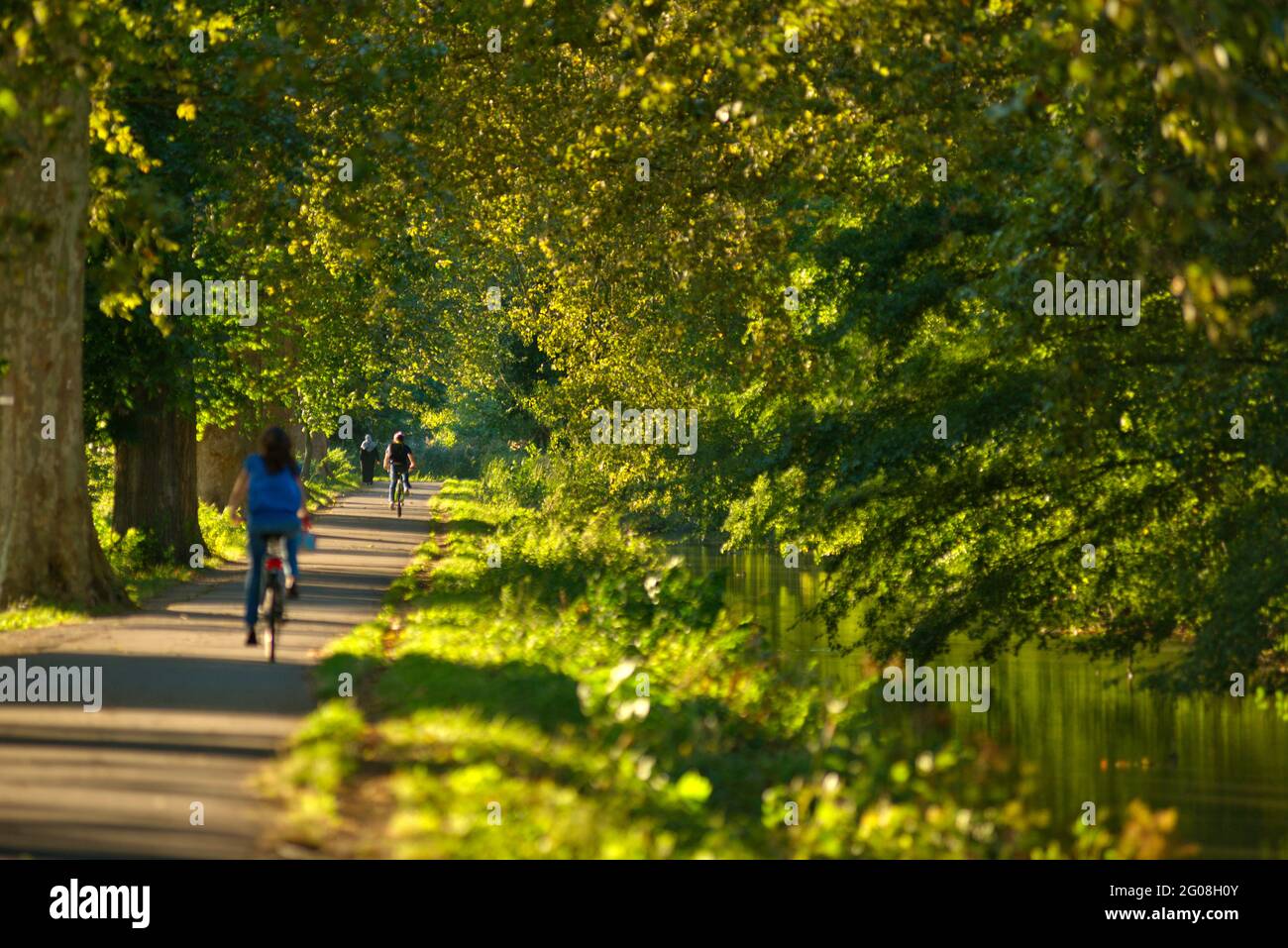 Rhine bicycle path strasbourg hi-res stock photography and images - Alamy