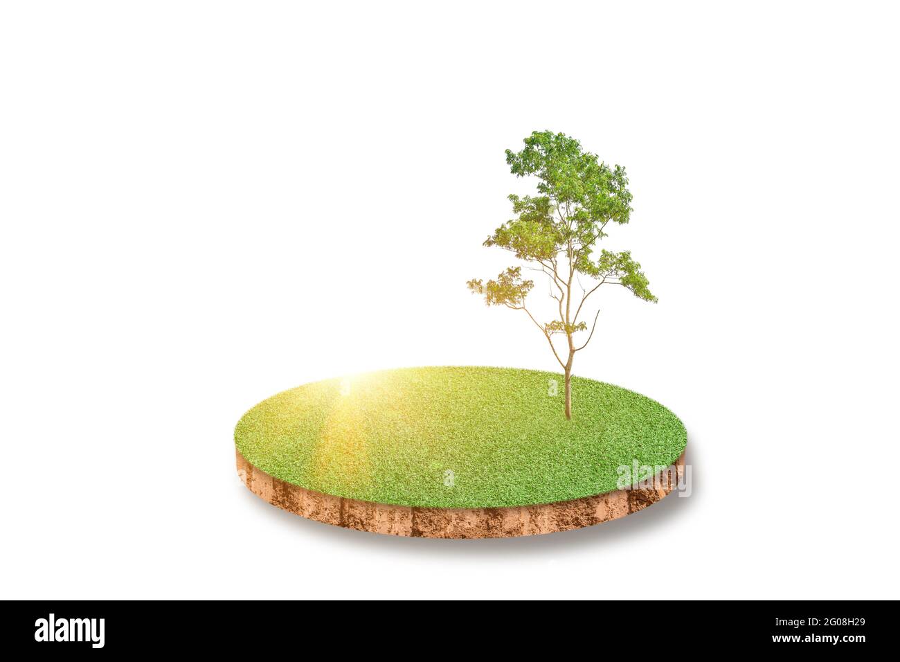 Cross section ground of green grass field Isolated on white background ...