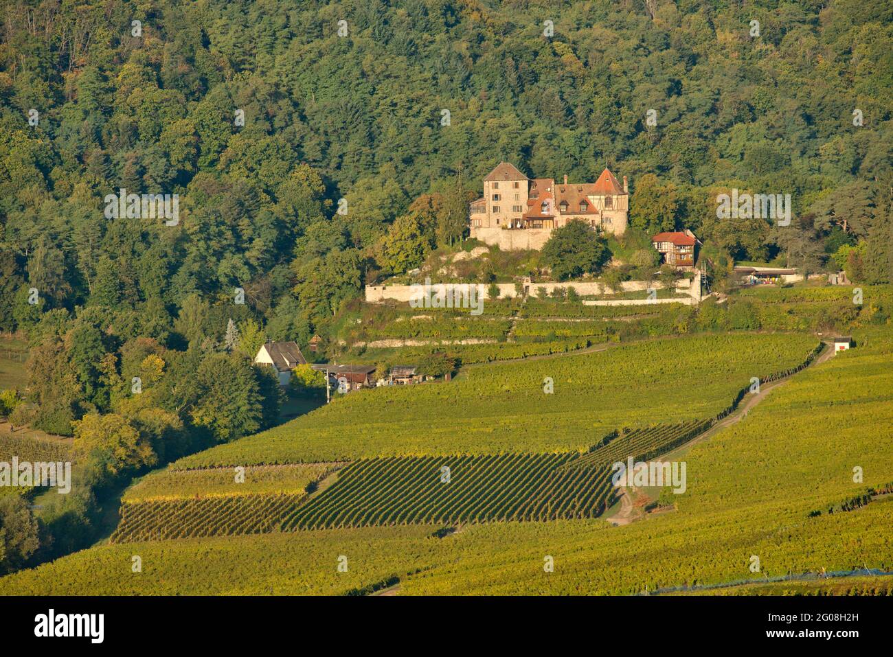 Reichenberg hi-res stock photography and images - Alamy
