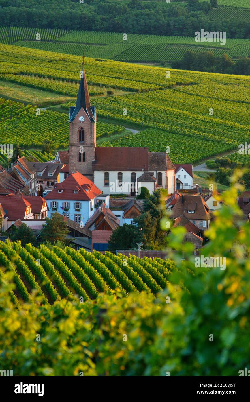 FRANCE, HAUT-RHIN (68), RODERN, VILLAGE AND CHURCH OF RODERN AND IN THE ...