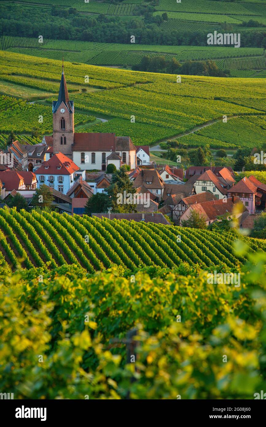 Alsace vineyard and vertical hi-res stock photography and images - Alamy