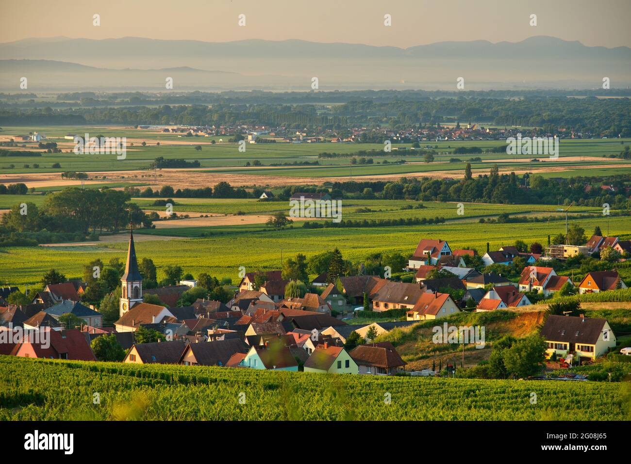FRANCE, HAUT-RHIN (68), VILLAGE OF RORSCHWIHR, THE PLAIN OF ALSACE AND ...