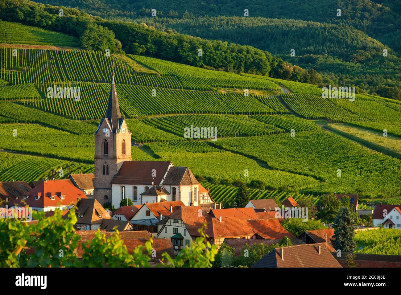 Village rodern in vineyard hi-res stock photography and images - Alamy