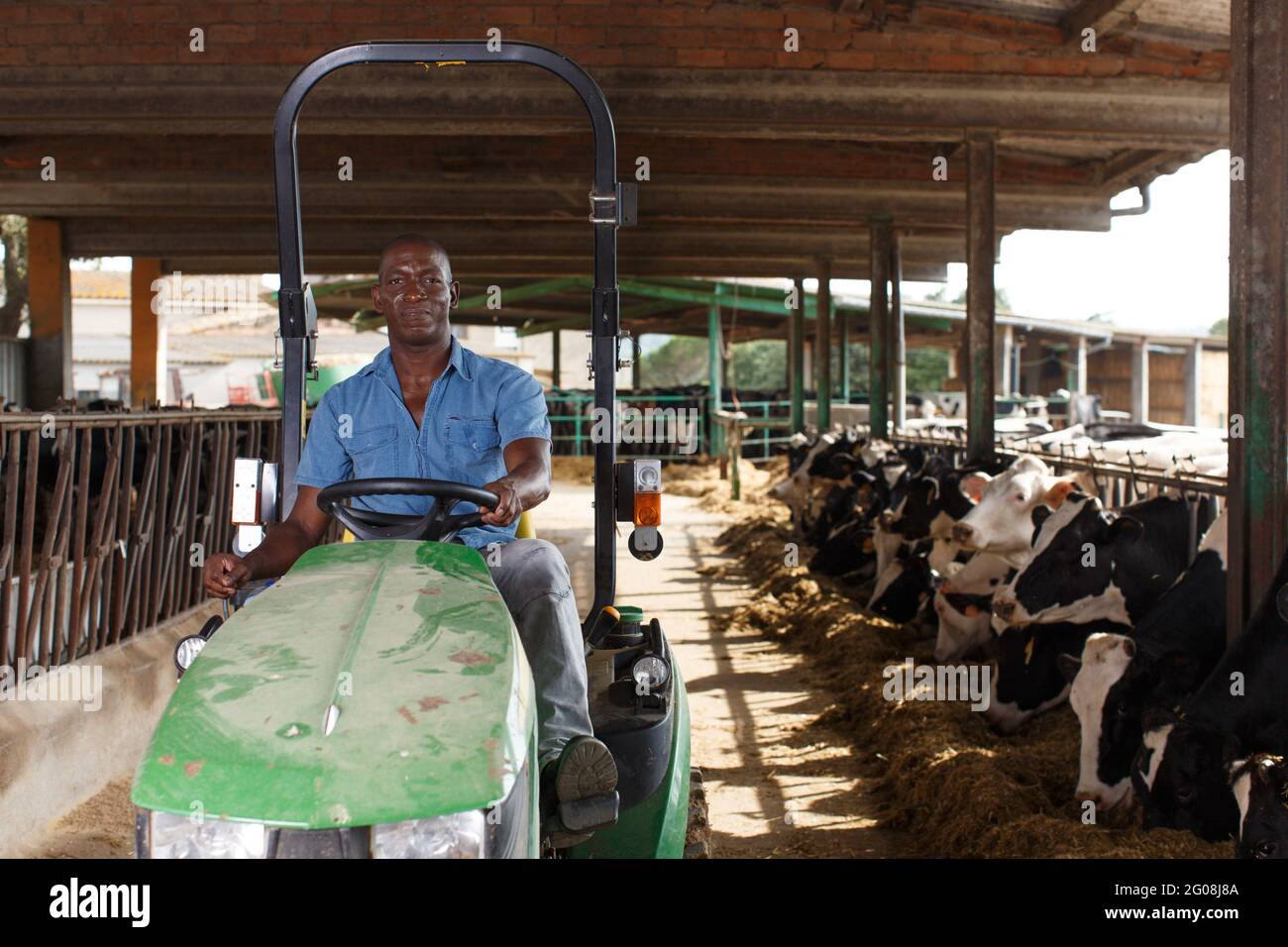 Dairy farm worker in tractor Stock Photo - Alamy
