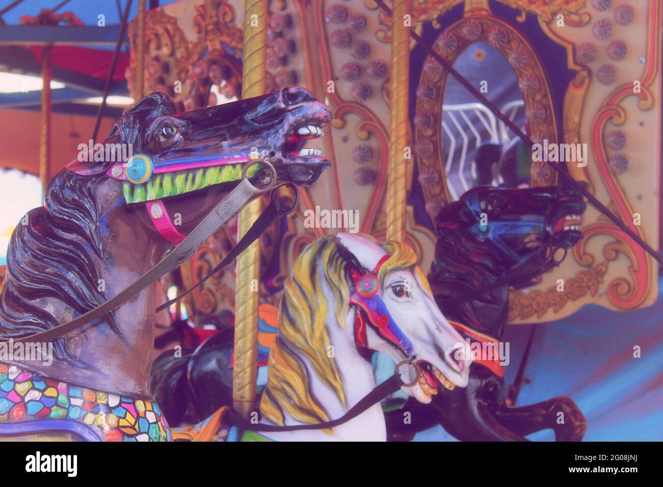 Texas state fair carousel hi-res stock photography and images - Alamy