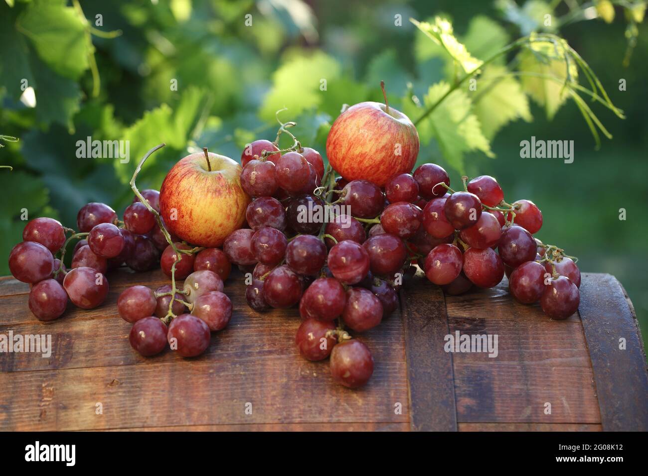 Red grapes with apples on a barrel in a vineyard Stock Photo - Alamy