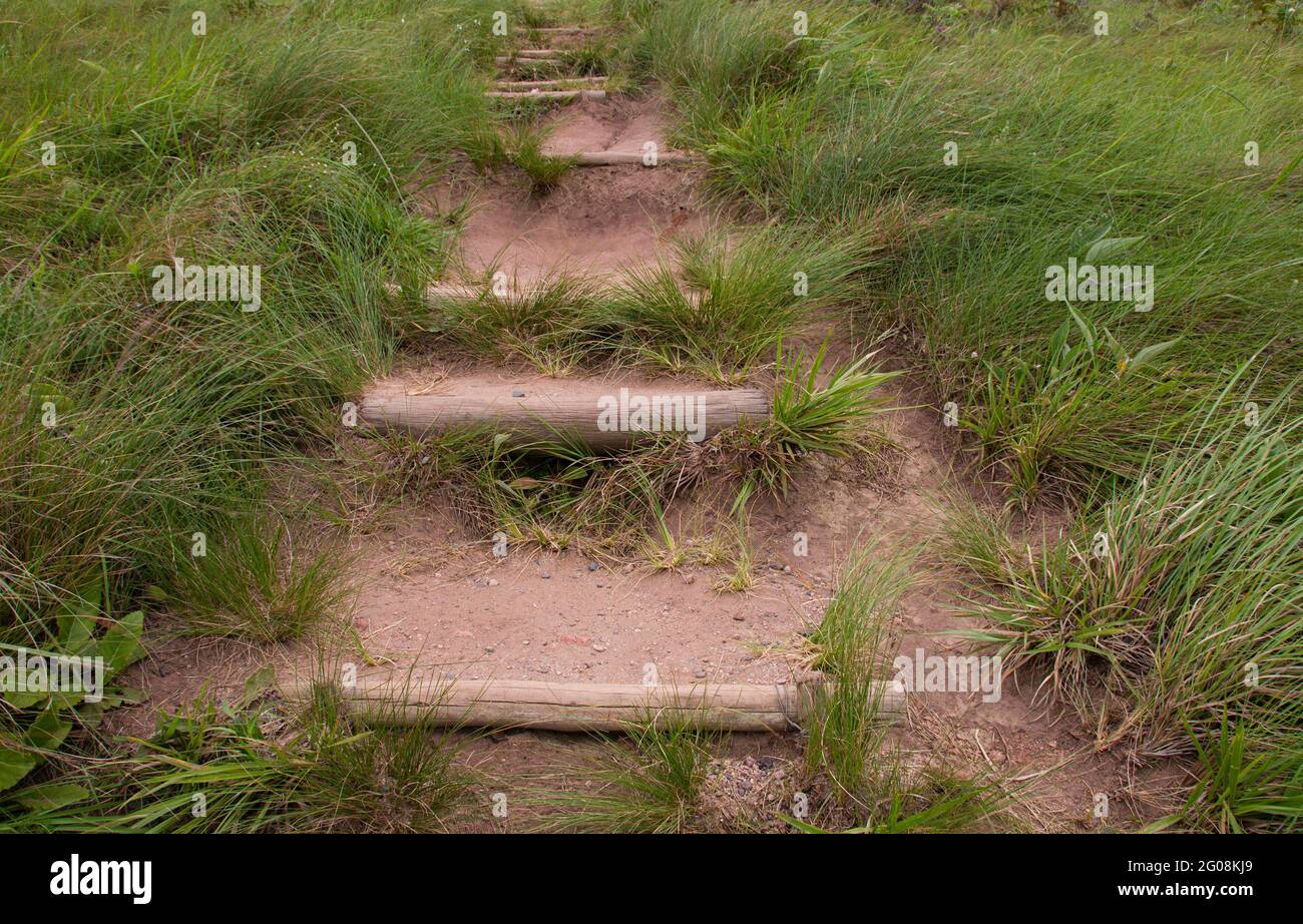 Stepped hiking pathway bordered by green grass Stock Photo - Alamy