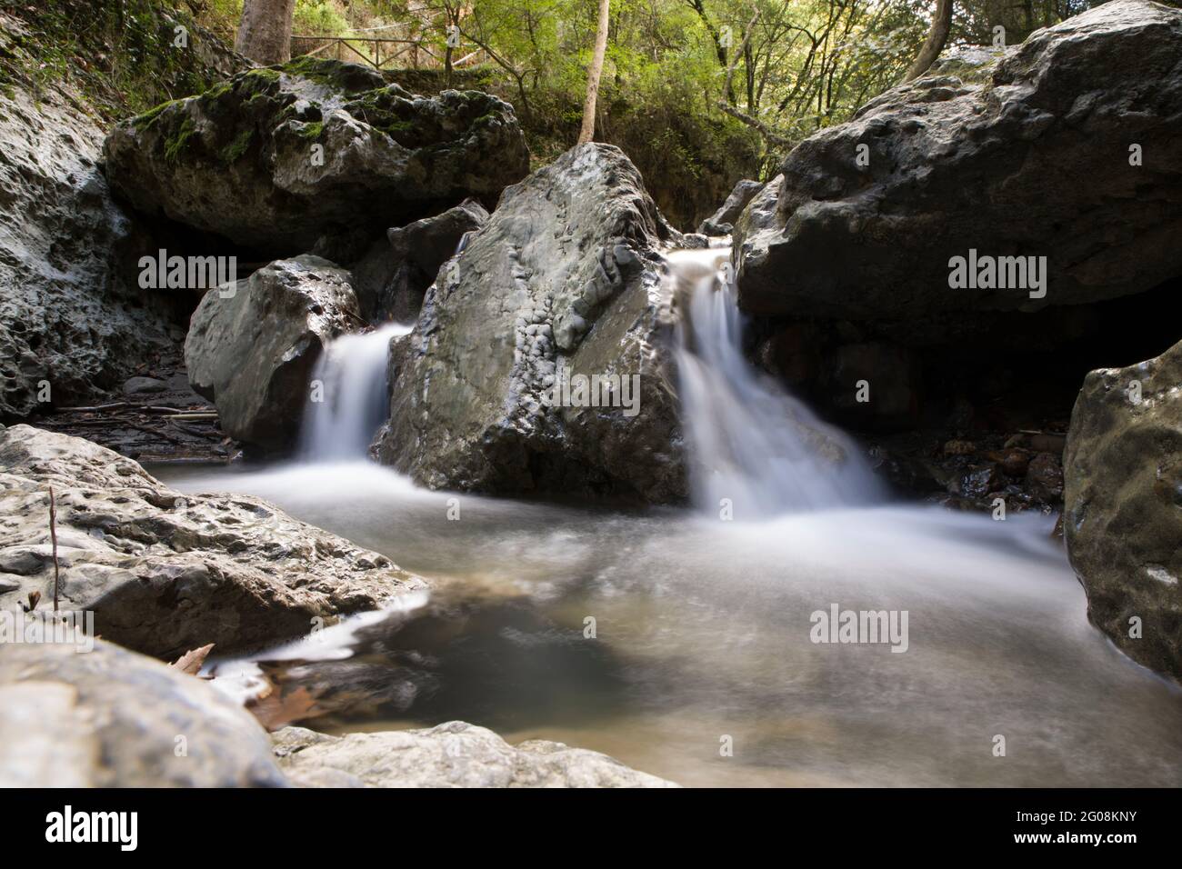 Forrest stairs hi-res stock photography and images - Alamy