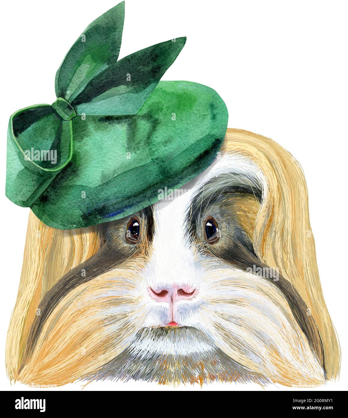 Cute cavy in green hat. Pig for T-shirt graphics. Watercolor Sheltie ...