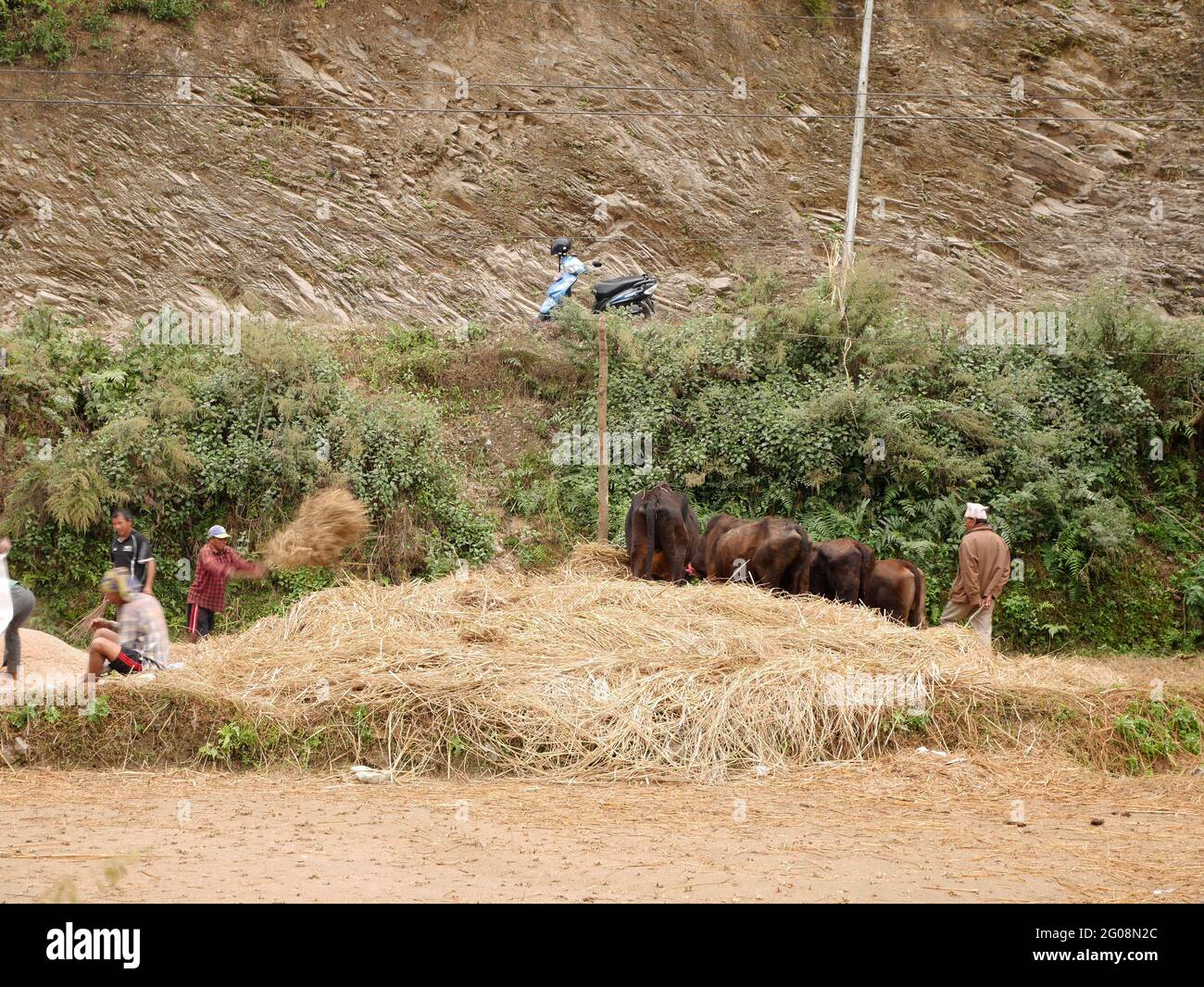 Traditional cultural antique retro vintage milling rice life of napali ...
