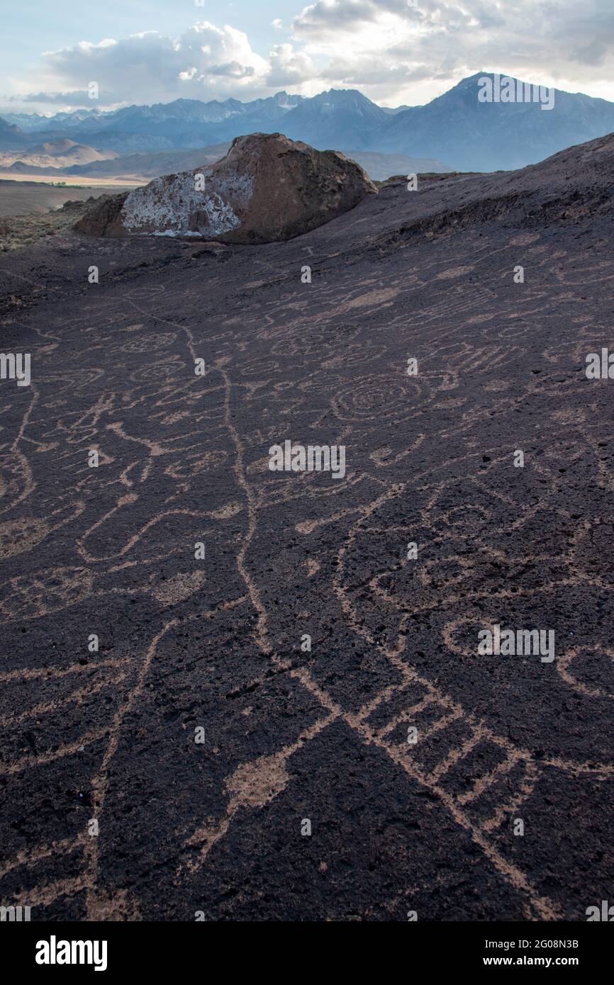 The Volcanic Tablelands north of Bishop, Inyo County, CA contain ...