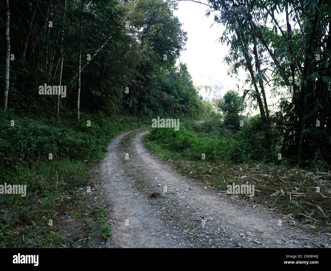 Gravel street of panchase route way for trekking in forest on Anadu ...
