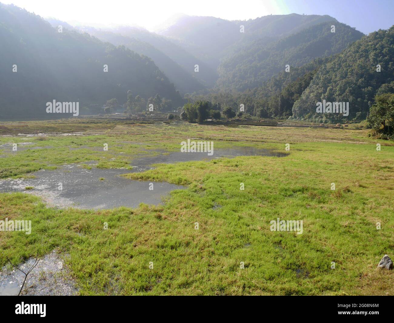 Landscape farmland and nepali people transplant seeding paddy or rice ...