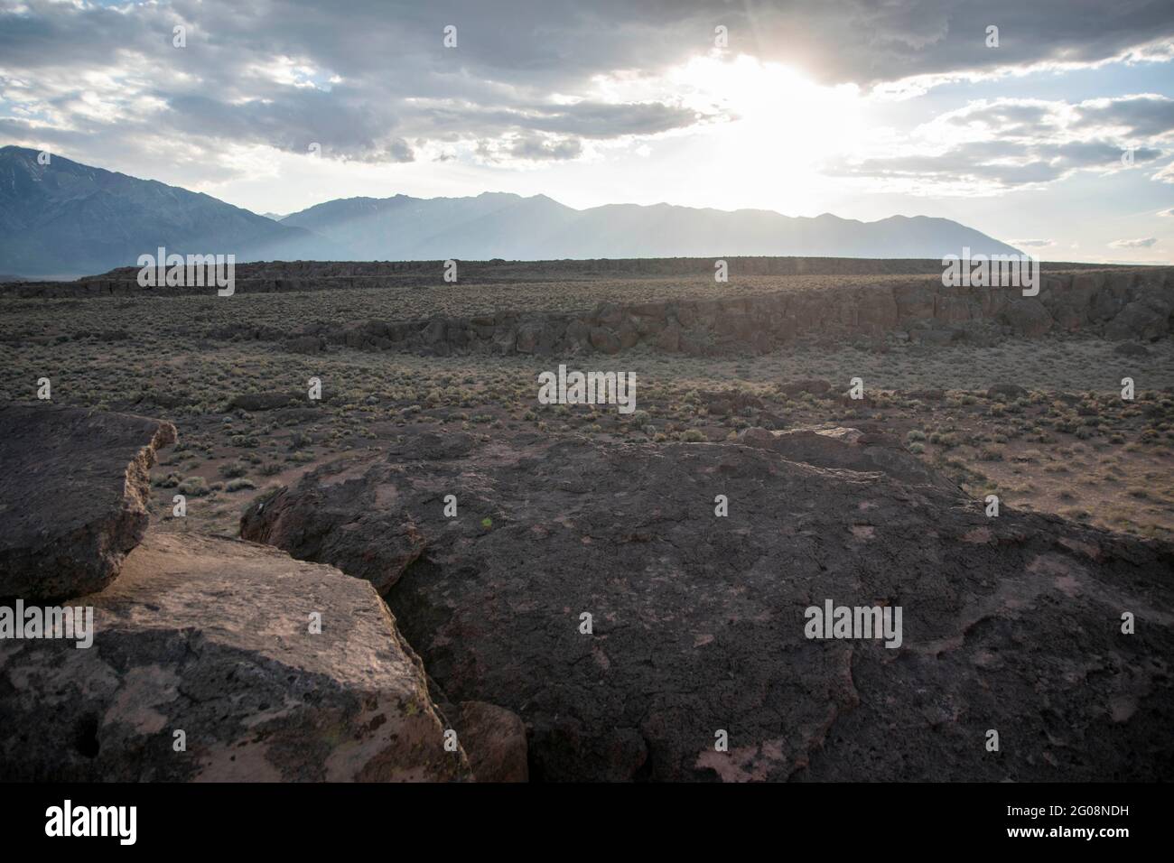 The Volcanic Tablelands north of Bishop, Inyo County, CA contain ...