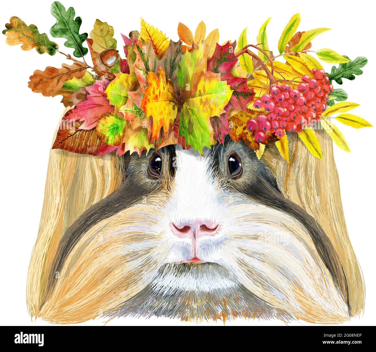 Cute cavy in a wreath of autumn leaves. Pig for T-shirt graphics ...