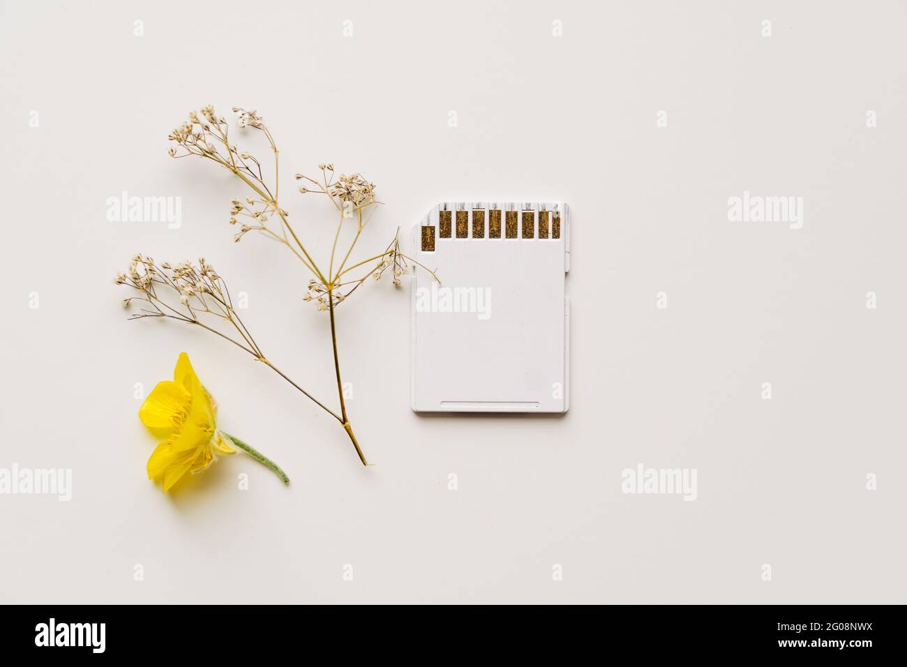 White memory card on white background with filed flowers. Eco friendly ...