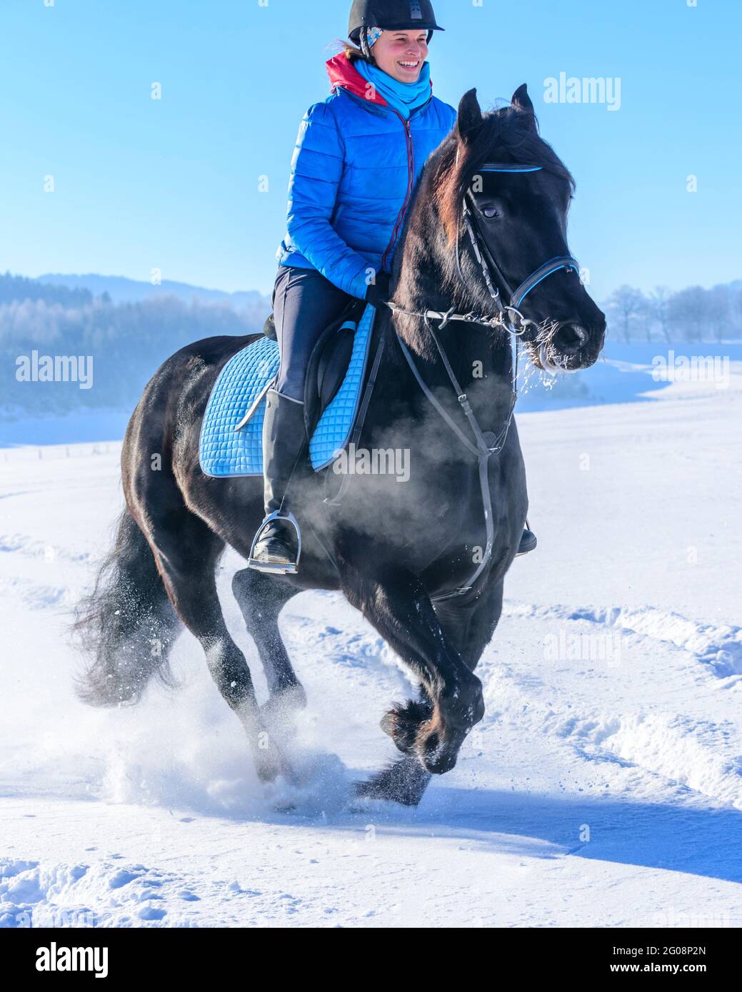 Hobby horse riding hi-res stock photography and images - Alamy