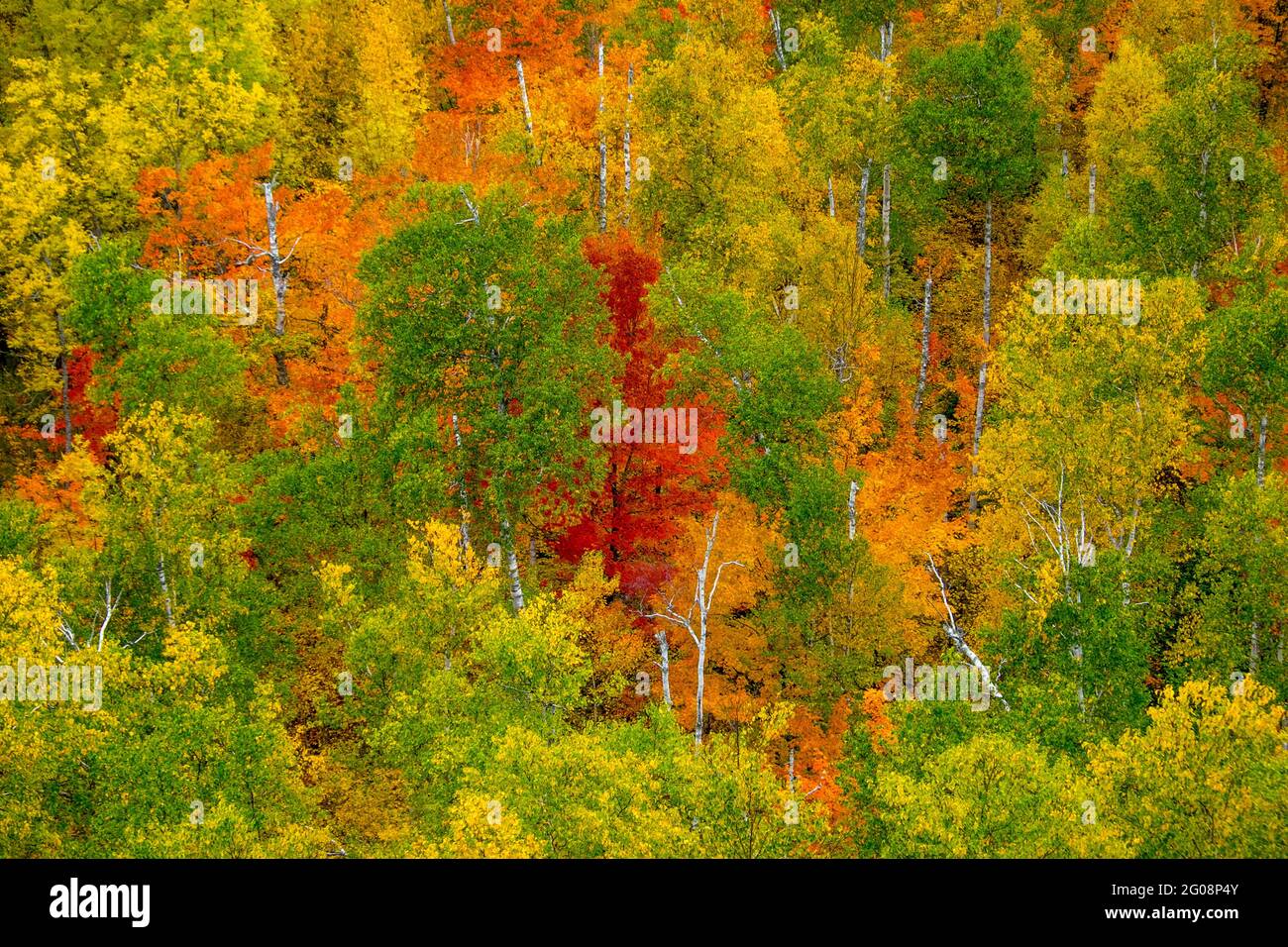 Fall colors on Carlton Peak in northern Minnesota, USA Stock Photo - Alamy