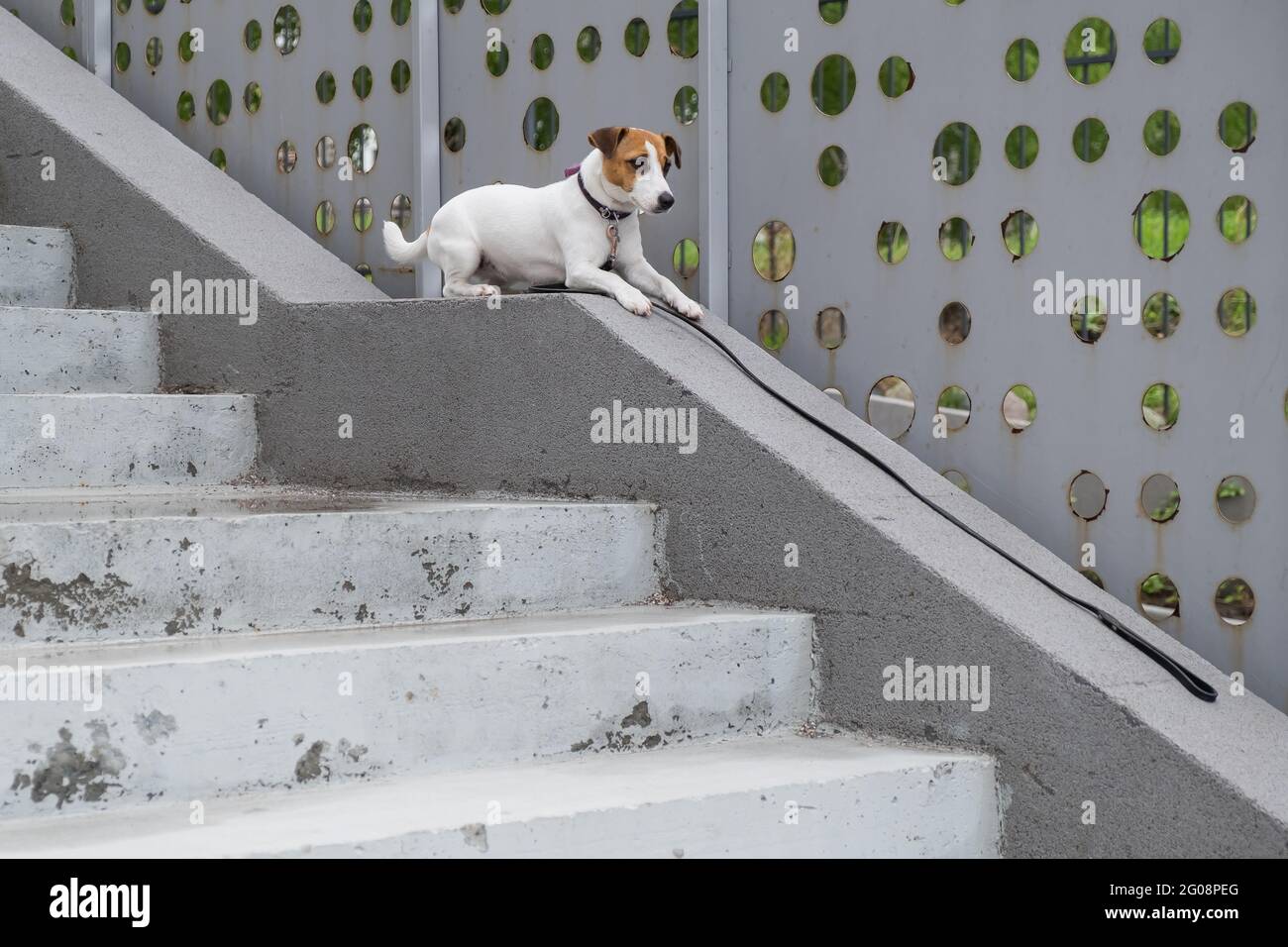 Unhappy jack hi-res stock photography and images - Alamy