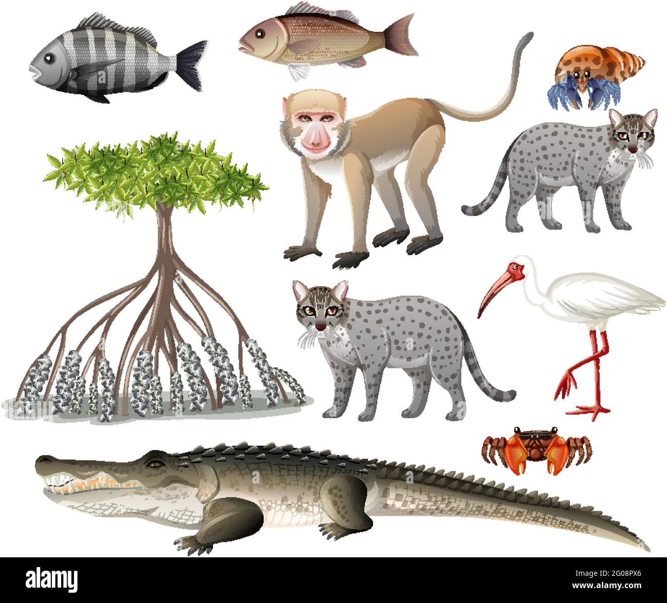 Mangrove Animals Wildlife Rich Mangroves Suffer As Indonesia Ramps Up