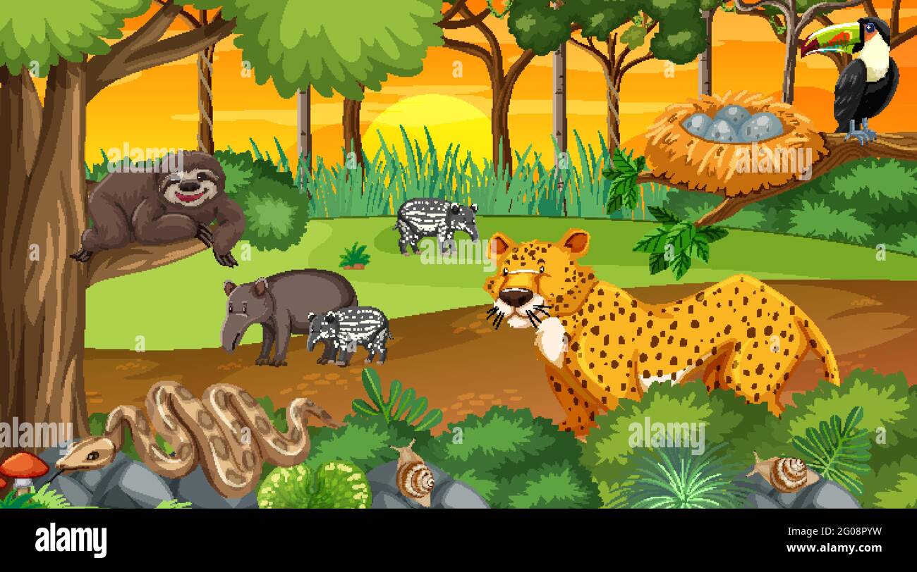 Nature forest at sunset time scene wtih wild animals illustration Stock ...